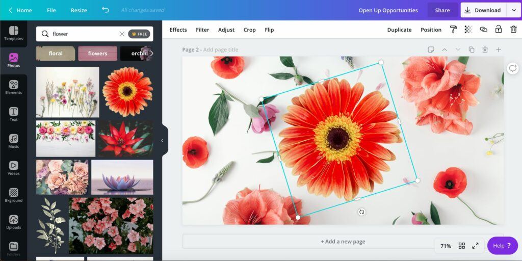 Canva Review 2021 Canva Free Plan Vs Canva Pro Plan