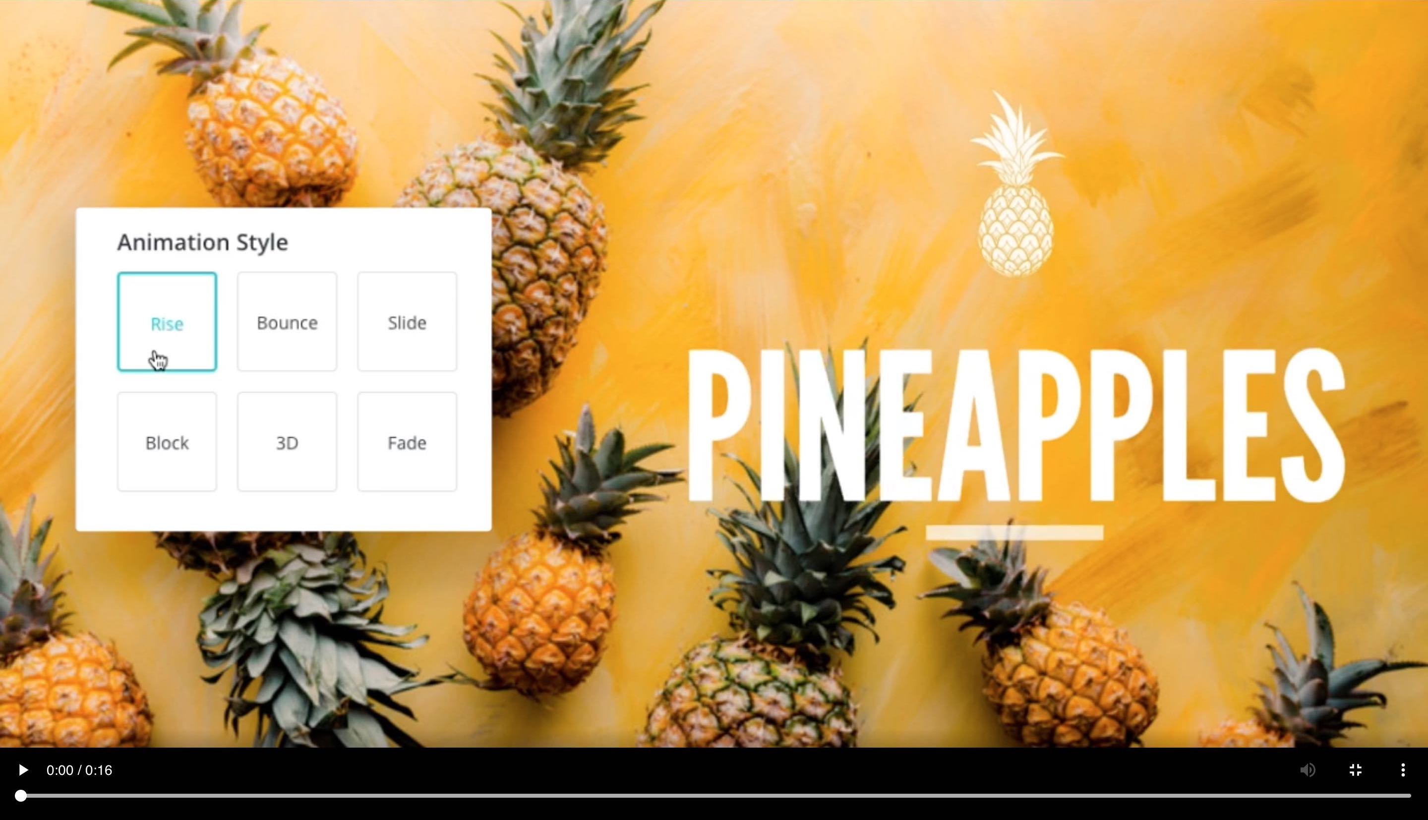 Canva Animation Open Up Opportunities